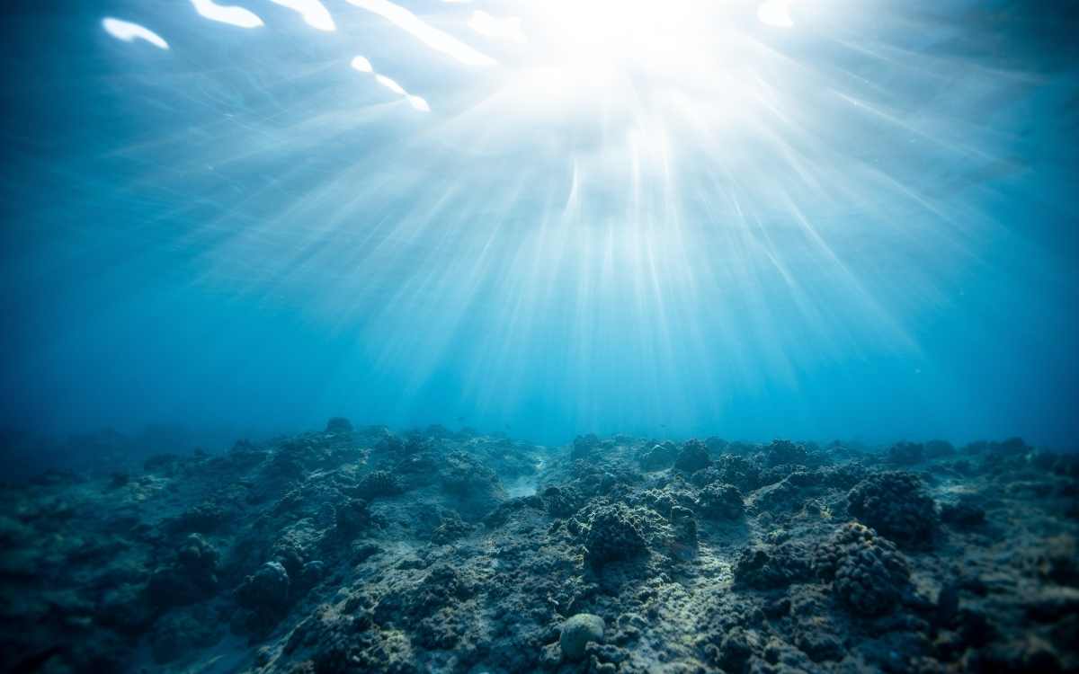 Why Did NASA Stop Exploring The Ocean Why Did NASA Stop Exploring The Ocean